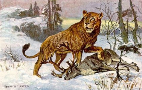 10 Fantastische Dieren Die Helaas Zijn Uitgestorven - Alletop10lijstjes