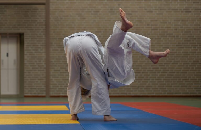 Top 10 meest beoefende vechtsporten ter wereld - Alletop10lijstjes
